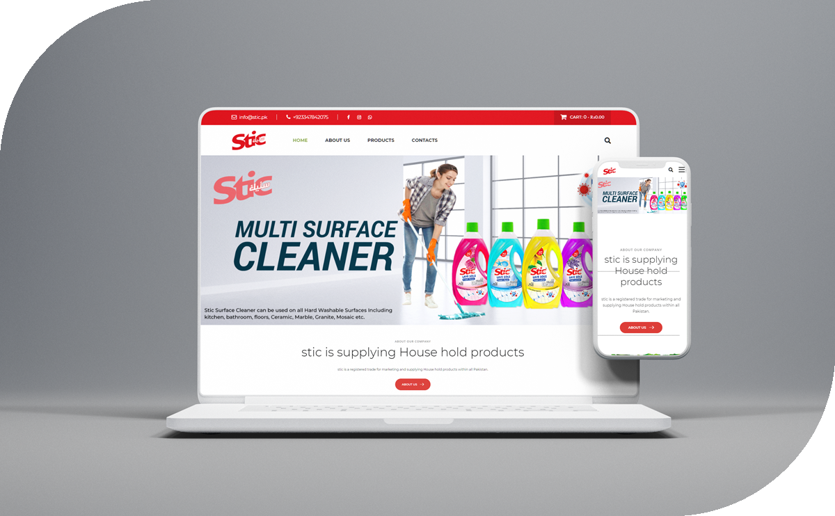 Premium Shopify E-Commerce Store Package - Dataminds Technologies